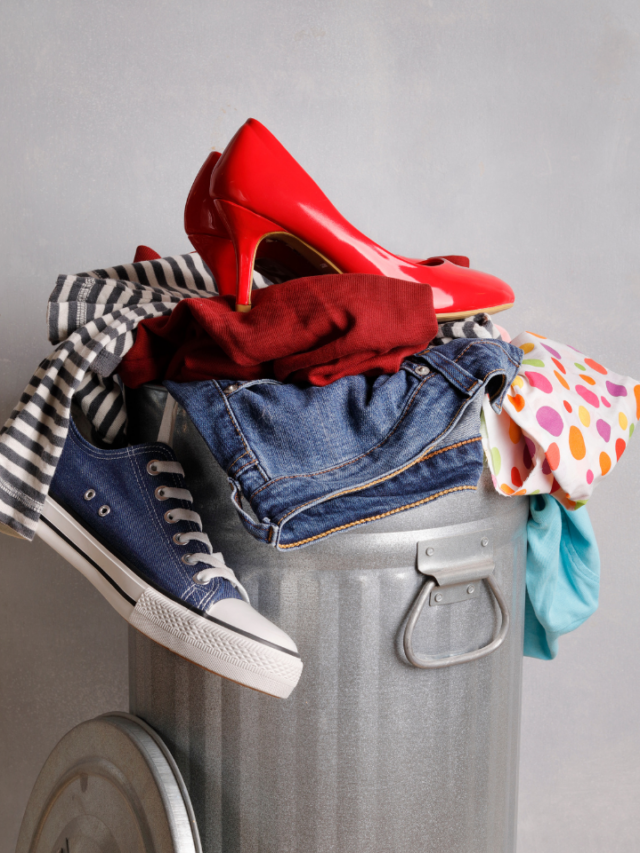 Shein Workers Absolutely Need Our Help & Here’s Why | SUCCESSIBLE LIFE